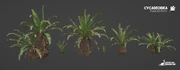 Paleobotany | Prehistoric Kingdom Wiki | Fandom