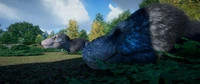 Tyrannosaurus | Prehistoric Kingdom Wiki | Fandom