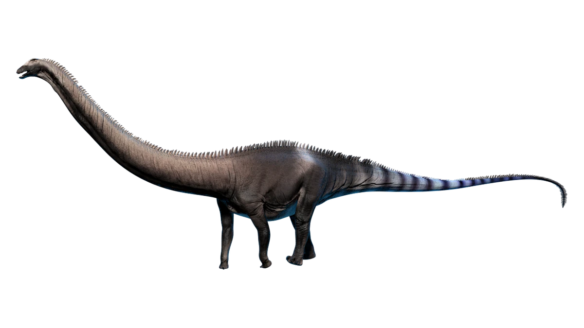 Diplodocus | Prehistoric Kingdom Wiki | Fandom