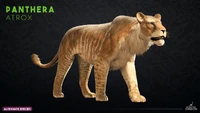 Panthera | Prehistoric Kingdom Wiki | Fandom
