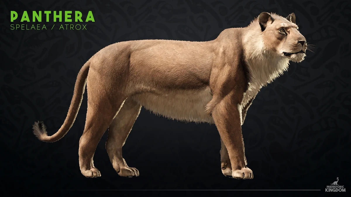 Panthera | Prehistoric Kingdom Wiki | Fandom