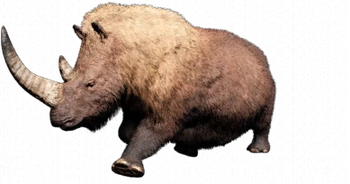 Coelodonta | Prehistoric Kingdom Wiki | Fandom