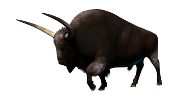 Bos | Prehistoric Kingdom Wiki | Fandom