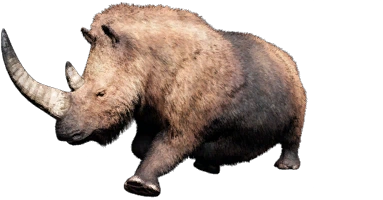 Coelodonta | Prehistoric Kingdom Wiki | Fandom