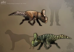 Protoceratops | Prehistoric Kingdom Wiki | Fandom