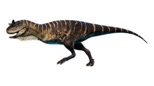 Carnotaurus | Prehistoric Kingdom Wiki | Fandom
