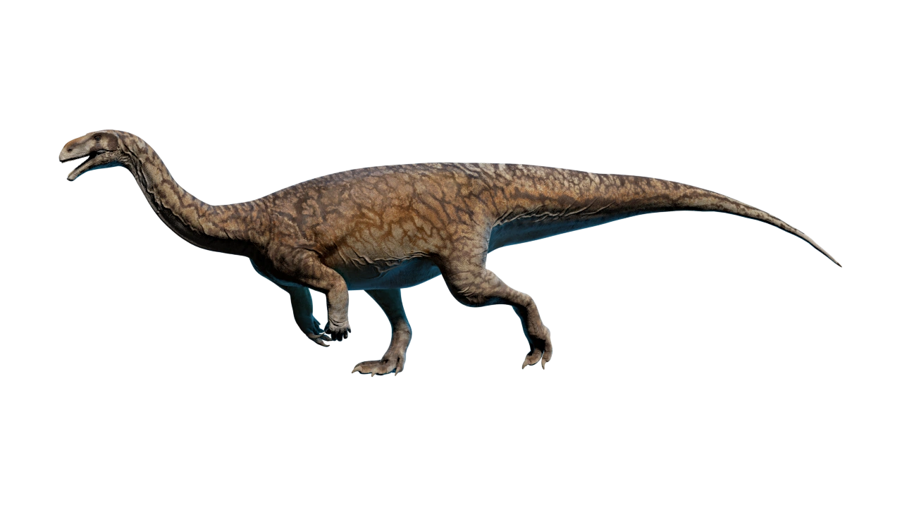 Plateosaurus