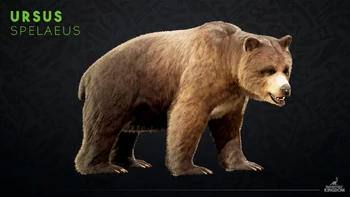 Ursus | Prehistoric Kingdom Wiki | Fandom