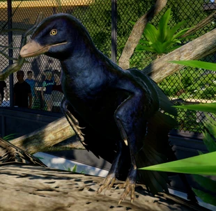 Microraptor | Prehistoric Kingdom Wiki | Fandom