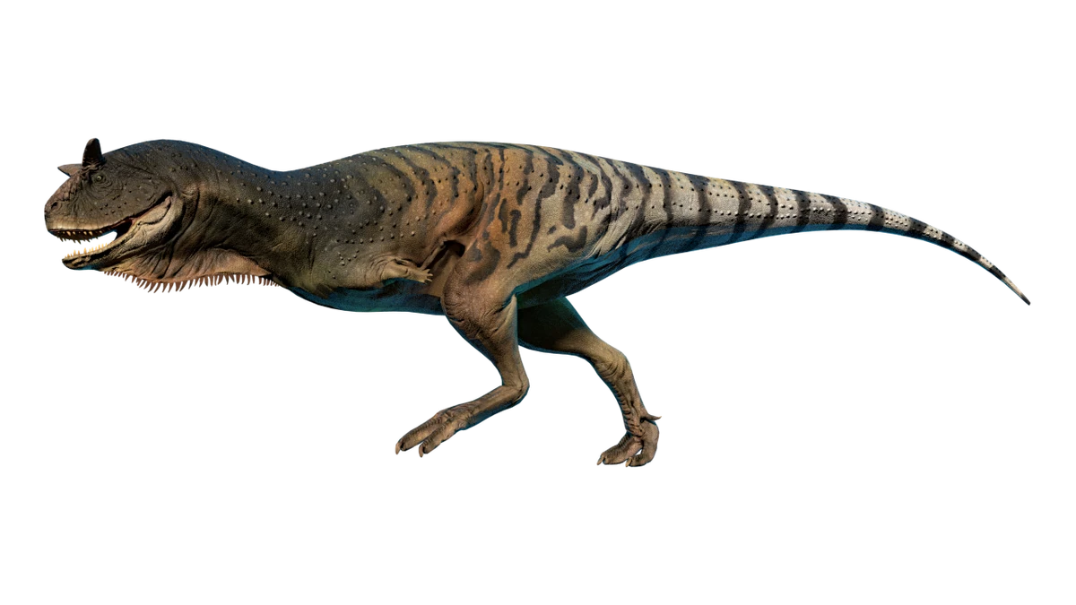 Carnotaurus | Prehistoric Kingdom Wiki | Fandom