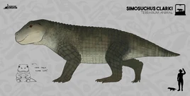 Simosuchus | Prehistoric Kingdom Wiki | Fandom