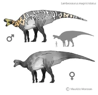 Lambeosaurus | Prehistoric Kingdom Wiki | Fandom
