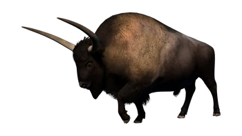 Bos | Prehistoric Kingdom Wiki | Fandom