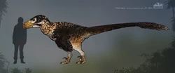 Utahraptor Ostrommaysorum With Images Prehistoric Utahraptor Life