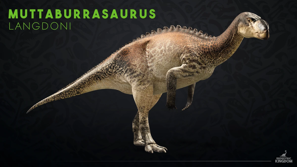 Muttaburrasaurus | Prehistoric Kingdom Wiki | Fandom
