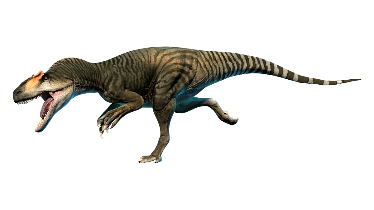 Allosaurus | Prehistoric Kingdom Wiki | Fandom