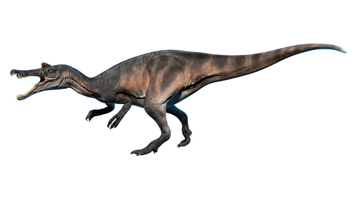 Baryonyx | Prehistoric Kingdom Wiki | Fandom