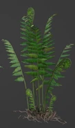 Paleobotany | Prehistoric Kingdom Wiki | Fandom