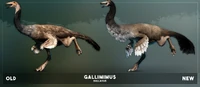 Gallimimus | Prehistoric Kingdom Wiki | Fandom