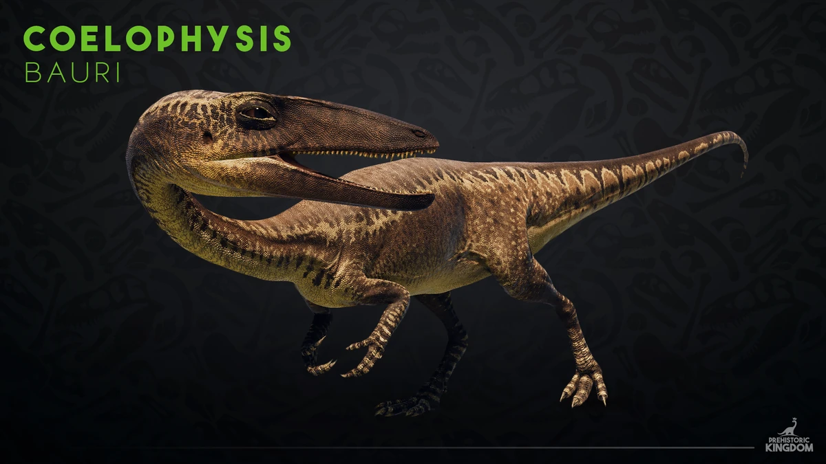 Coelophysis | Prehistoric Kingdom Wiki | Fandom