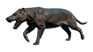 Hyaenodon | Prehistoric Kingdom Wiki | Fandom