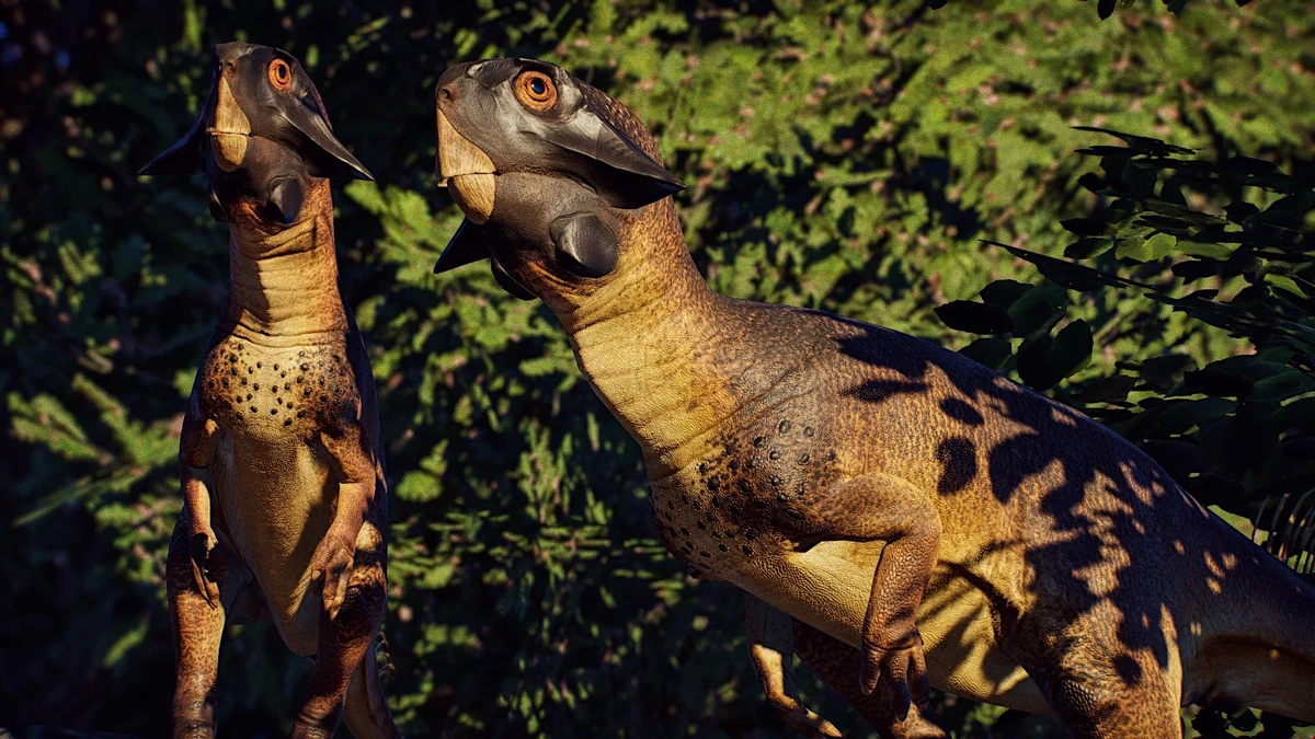 Psittacosaurus | Prehistoric Kingdom Wiki | Fandom
