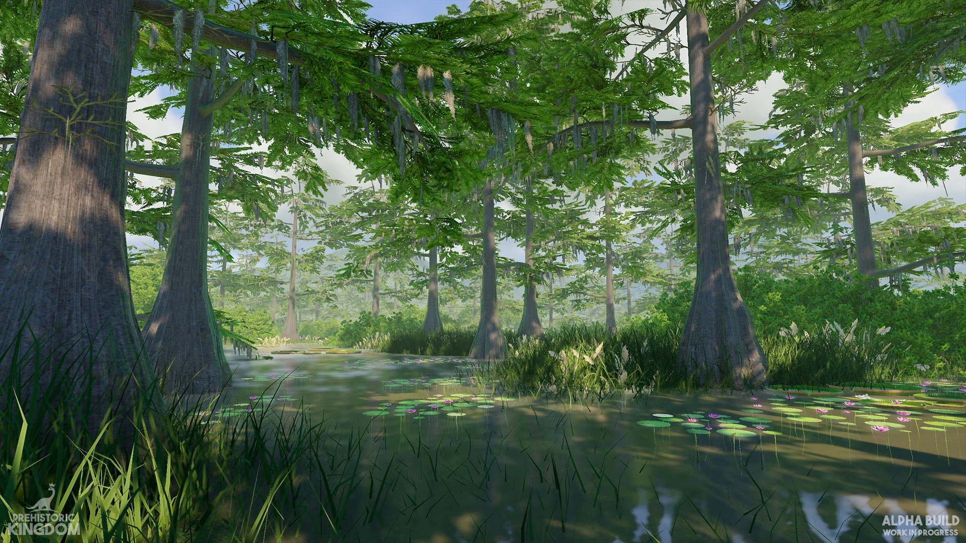 Wetlands Biome
