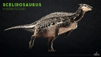 Scelidosaurus | Prehistoric Kingdom Wiki | Fandom