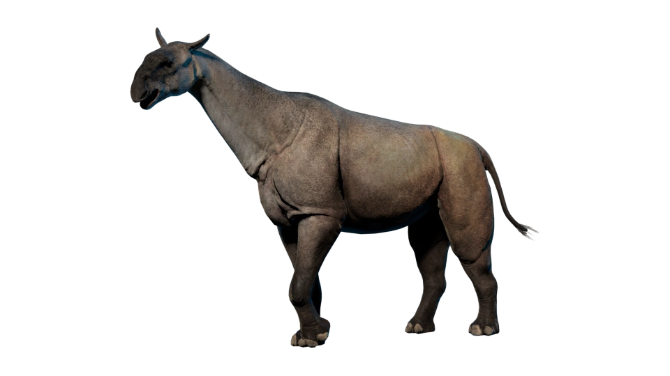 Paraceratherium | Prehistoric Kingdom Wiki | Fandom