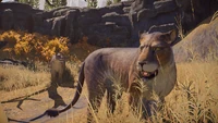 Panthera | Prehistoric Kingdom Wiki | Fandom