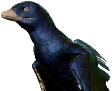 Microraptor
