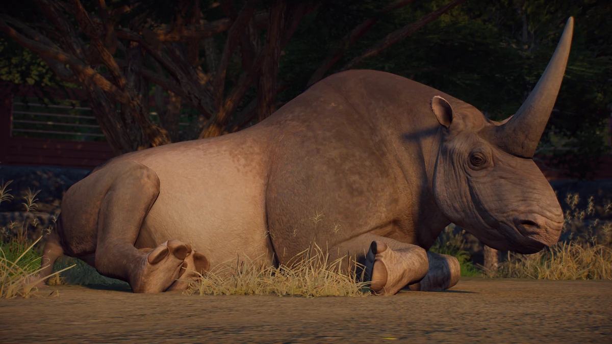 Sinotherium | Prehistoric Kingdom Wiki | Fandom