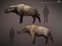 Daeodon | Prehistoric Kingdom Wiki | Fandom