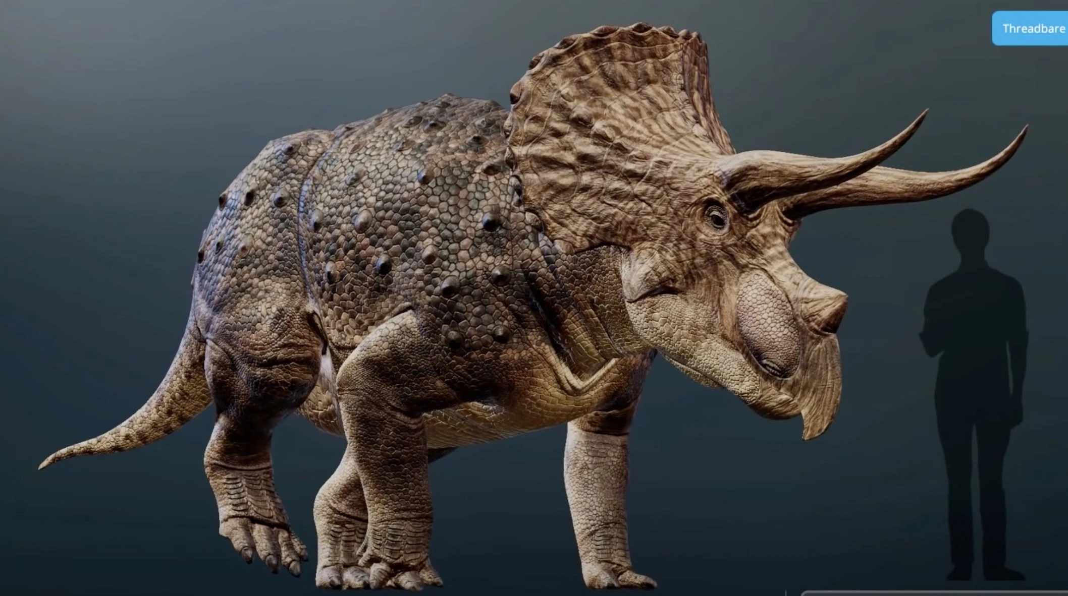 Proceratops