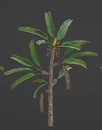 Paleobotany | Prehistoric Kingdom Wiki | Fandom