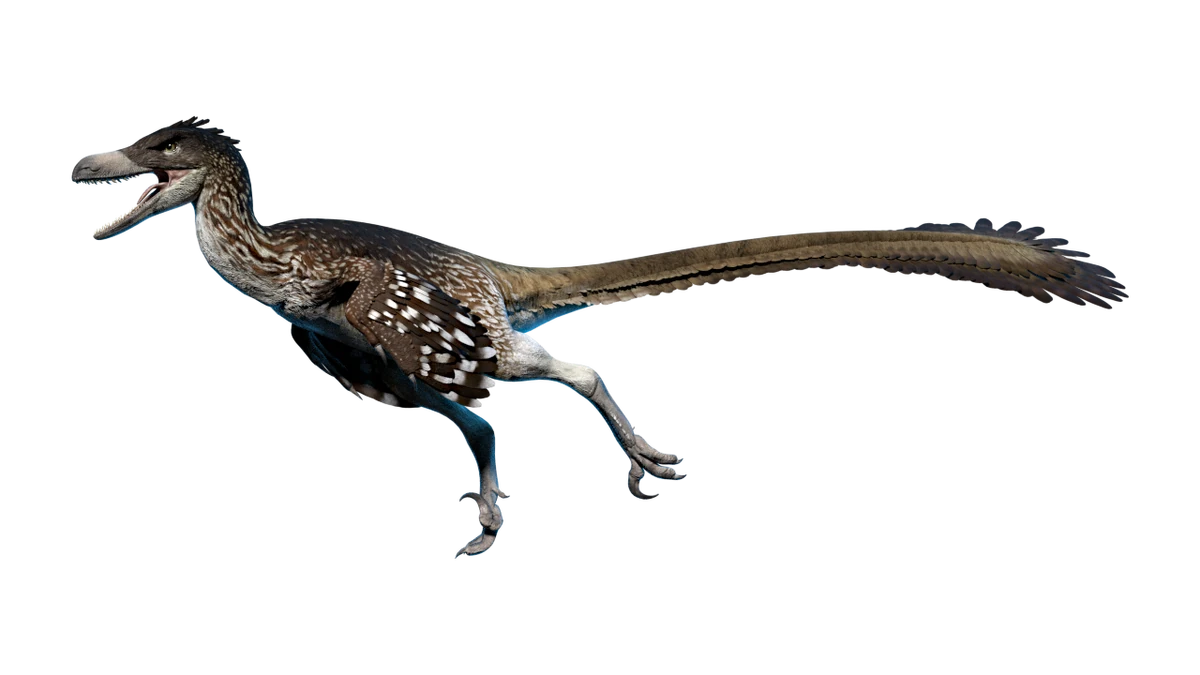 Velociraptor | Prehistoric Kingdom Wiki | Fandom