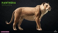 Panthera | Prehistoric Kingdom Wiki | Fandom