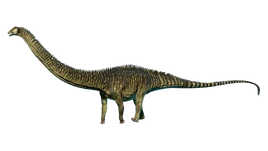 Diplodocus | Prehistoric Kingdom Wiki | Fandom