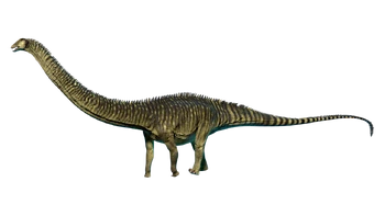 Diplodocus | Prehistoric Kingdom Wiki | Fandom