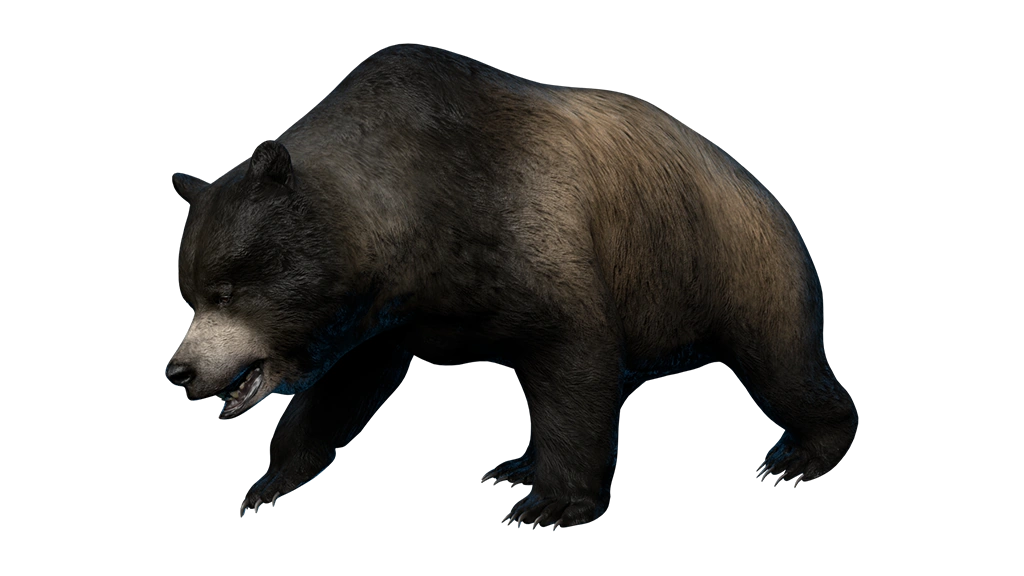 Ursus | Prehistoric Kingdom Wiki | Fandom