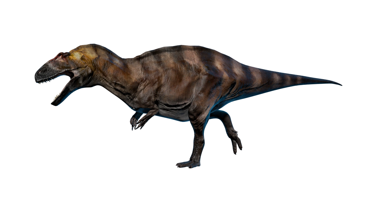 Acrocanthosaurus | Prehistoric Kingdom Wiki | Fandom