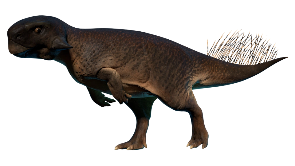 Psittacosaurus | Prehistoric Kingdom Wiki | Fandom