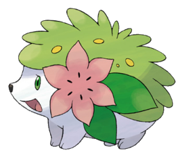 Shaymin/Land Forme | Pokemon Collectors Wiki | Fandom