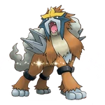 Entei/Shiny | Pokemon Collectors Wiki | Fandom