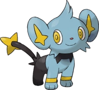 Shinx | Pokemon Collectors Wiki | Fandom