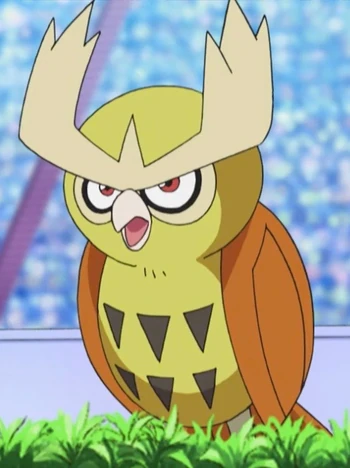 Noctowl/Shiny | Pokemon Collectors Wiki | Fandom