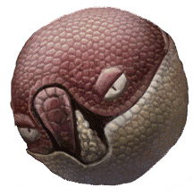 Voltorb | PokemonArvalis Wiki | Fandom
