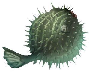 Qwilfish | PokemonArvalis Wiki | Fandom