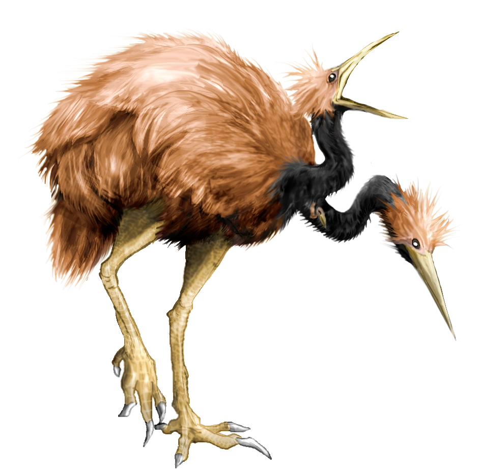 Doduo | PokemonArvalis Wiki | Fandom