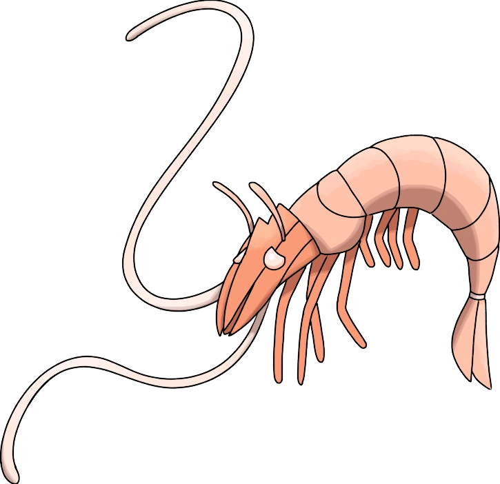 Shrimpish | Pokemon Sagebrush & Thistle Wiki | Fandom